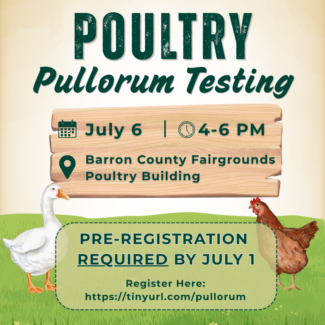 Poultry Pullorum Testing – Extension Barron County
